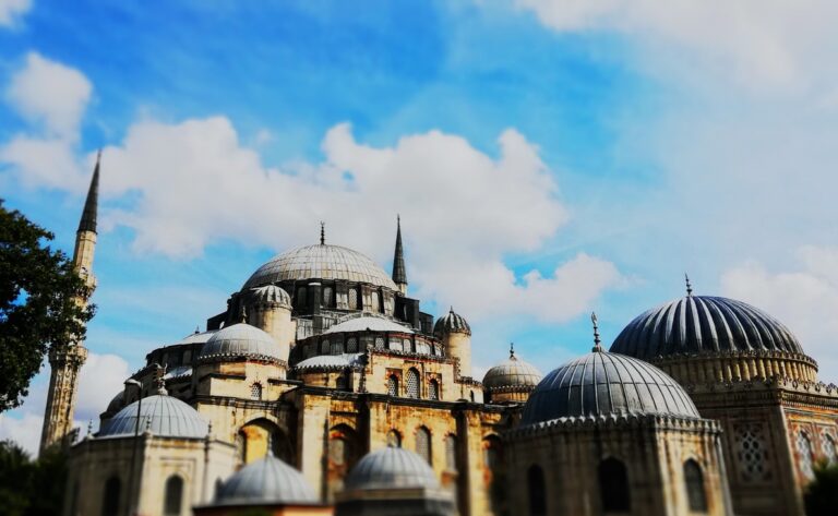 Ko je sposoban da ruši, nije sposoban da gradi -Islamski kulturni ...